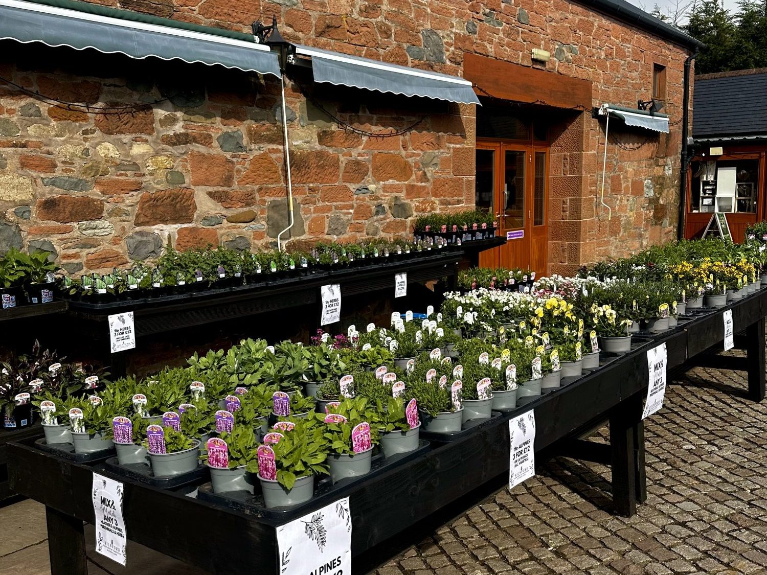 Kilnford Plants - Kilnford Farm Shop