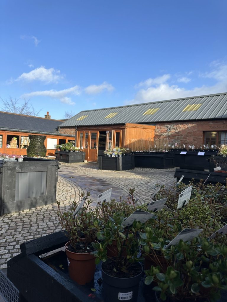 Kilnford Plants - Kilnford Farm Shop